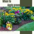 When to Apply Preen? Right Time and Preparation - Revive Garden