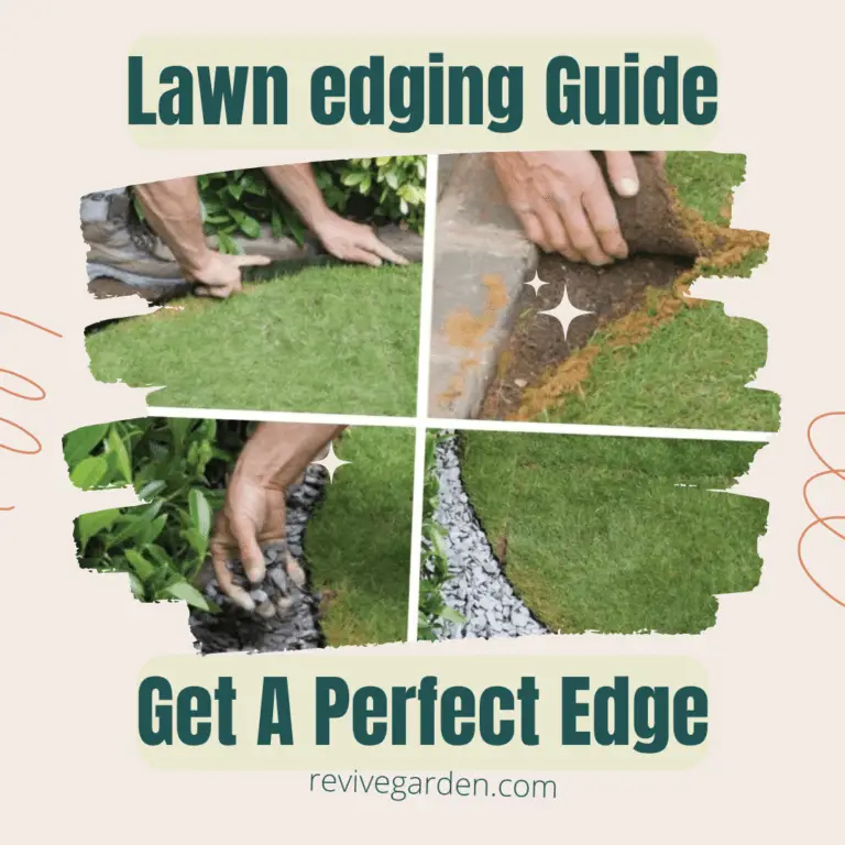 Lawn edging Guide - Get A Perfect Edge - Revive Garden